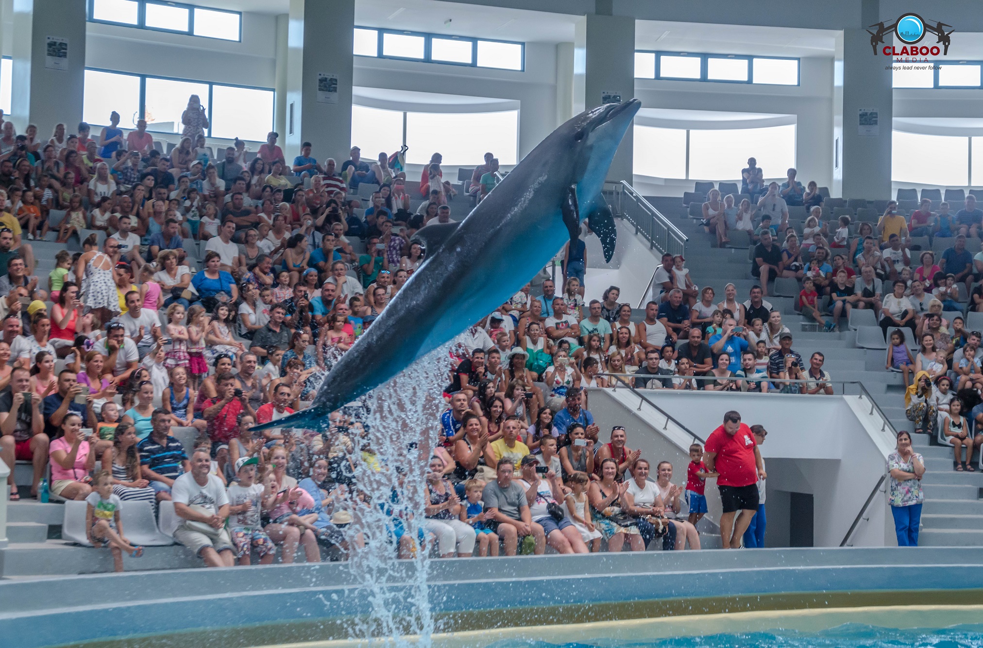 Patru delfini şi trei lei de mare de la un Delfinariu din Ucraina au ...
